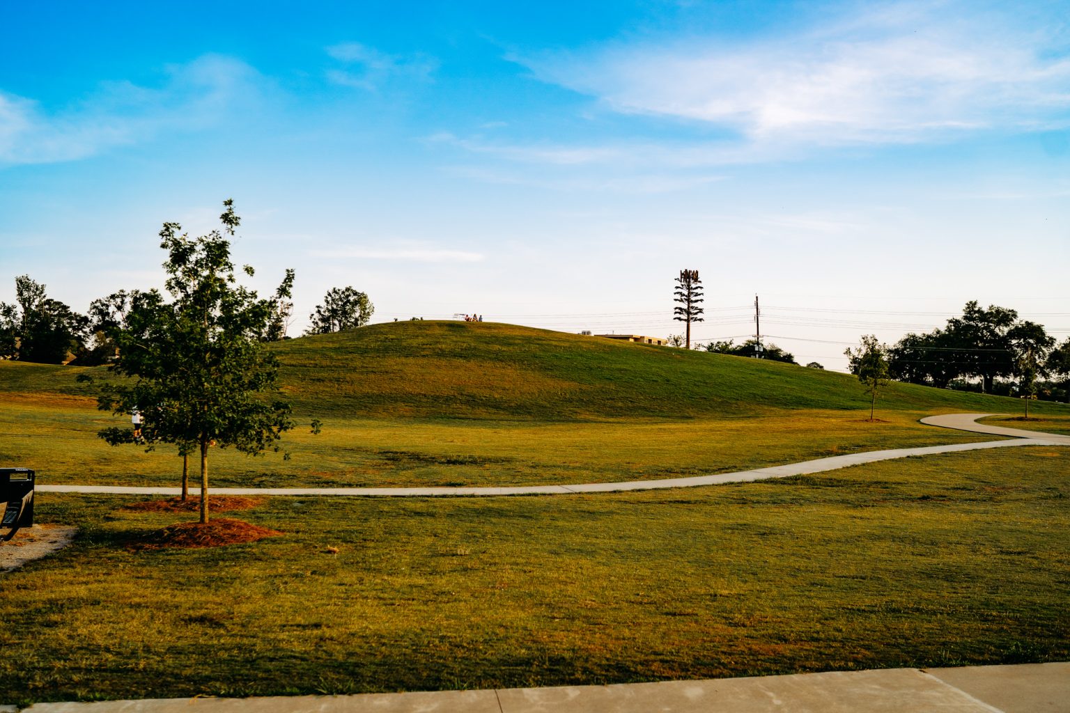 Moncus Park To Implement Paid Parking Model to Support Park Operations ...