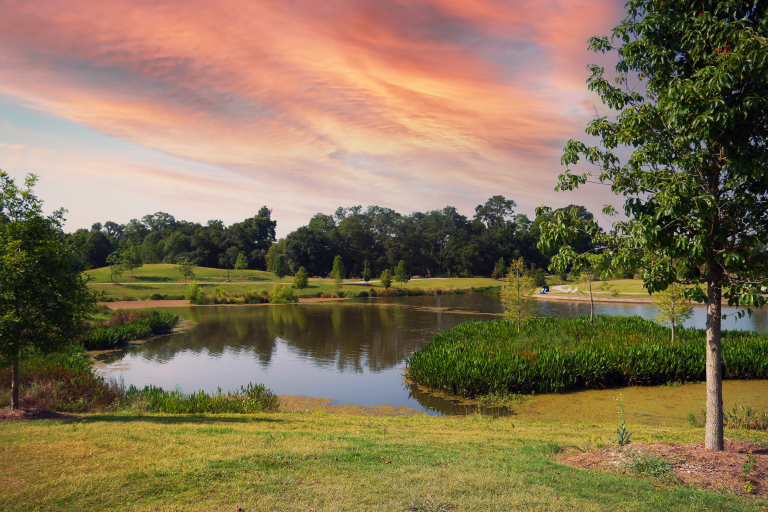 Moncus Park embraces park conservancy model as nonprofit entity ...