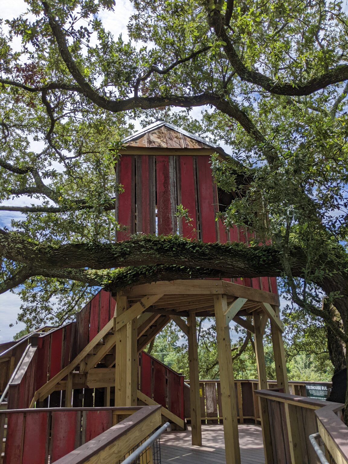 MONCUS PARK OPENS THE SAVOY FAMILY TREEHOUSE – Moncus Park