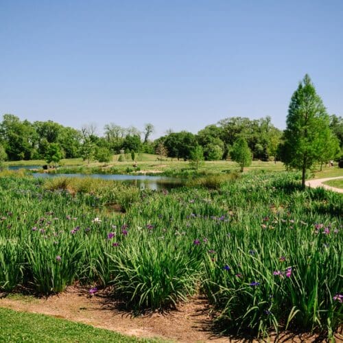 Gallery – Moncus Park